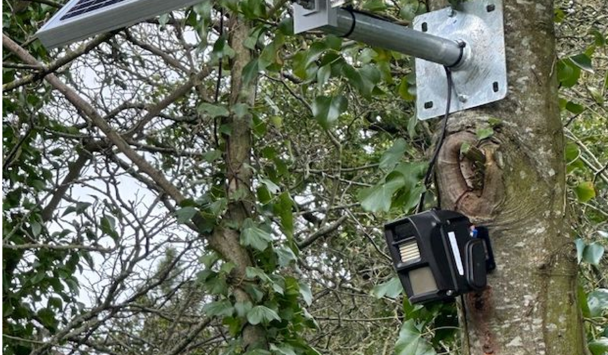 Effective Tips to Boost Wireless Security Camera Signal - Reconeyez