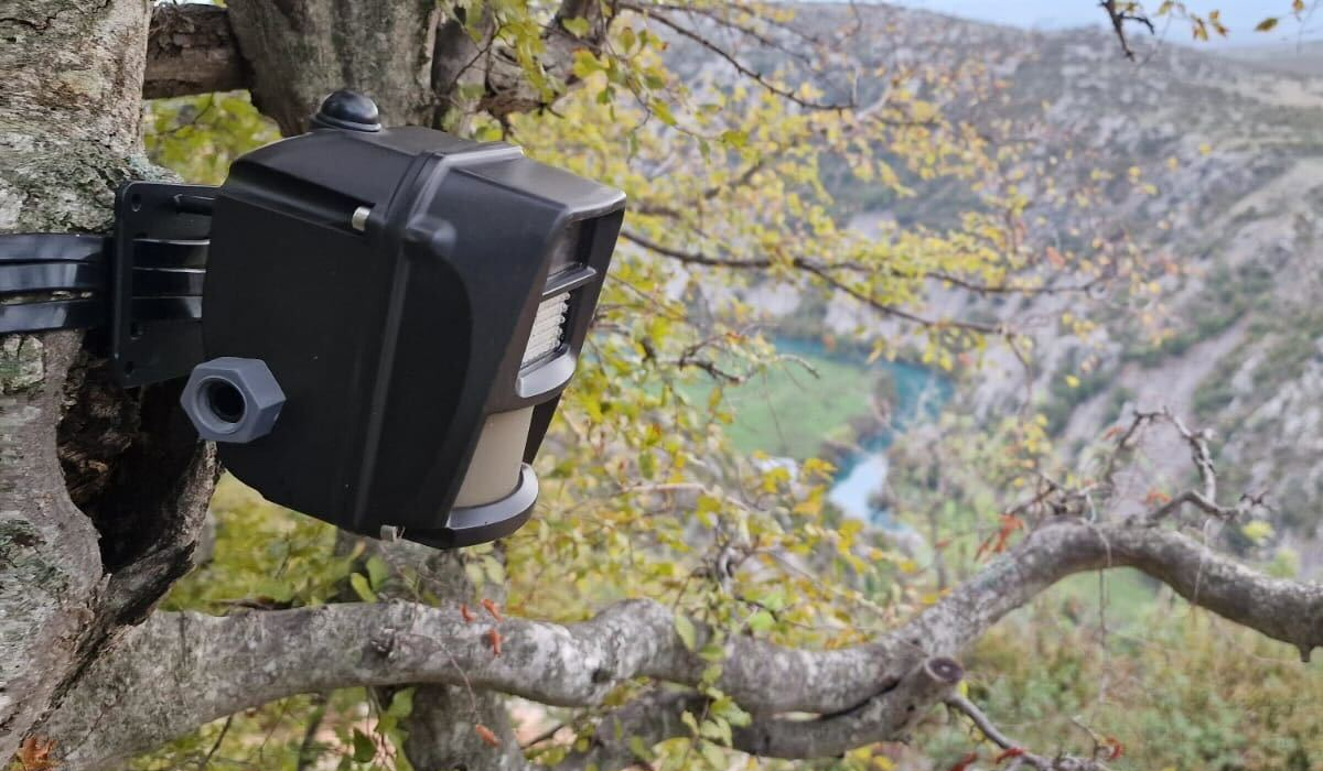 Recognizing Signs of Jamming in Security Cameras - Reconeyez